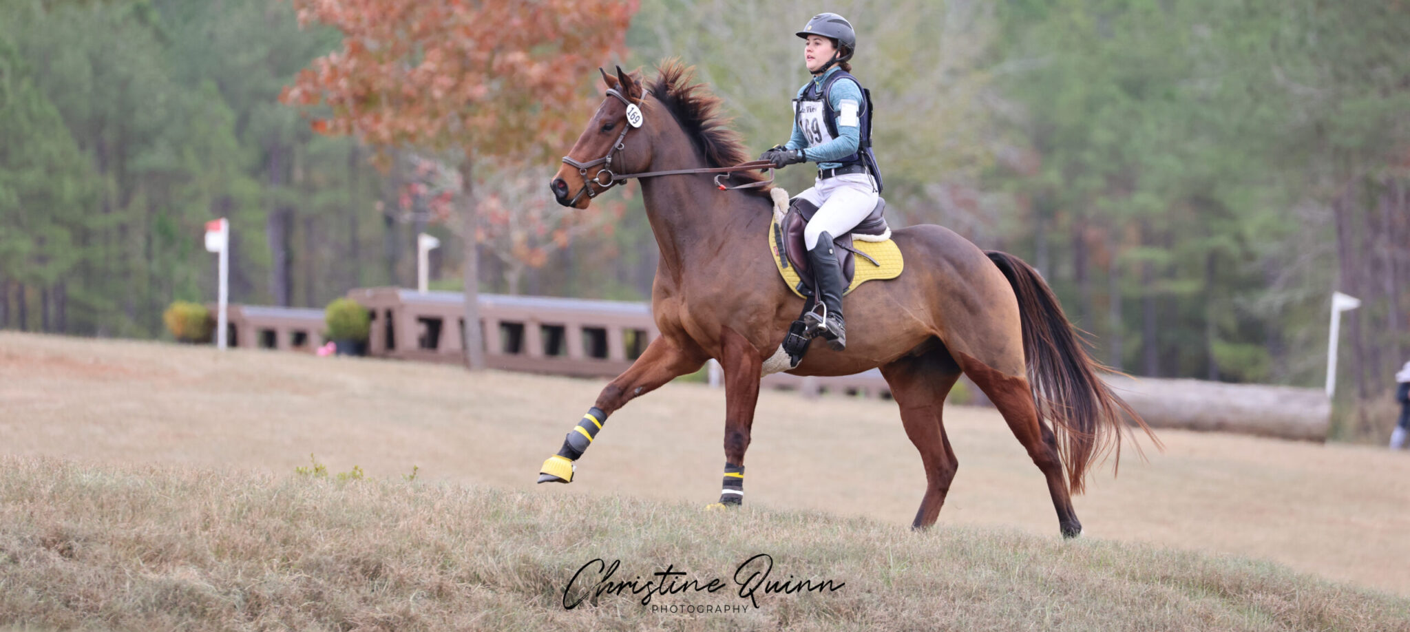 Stable View Farm Intercollegiate Interscholastic