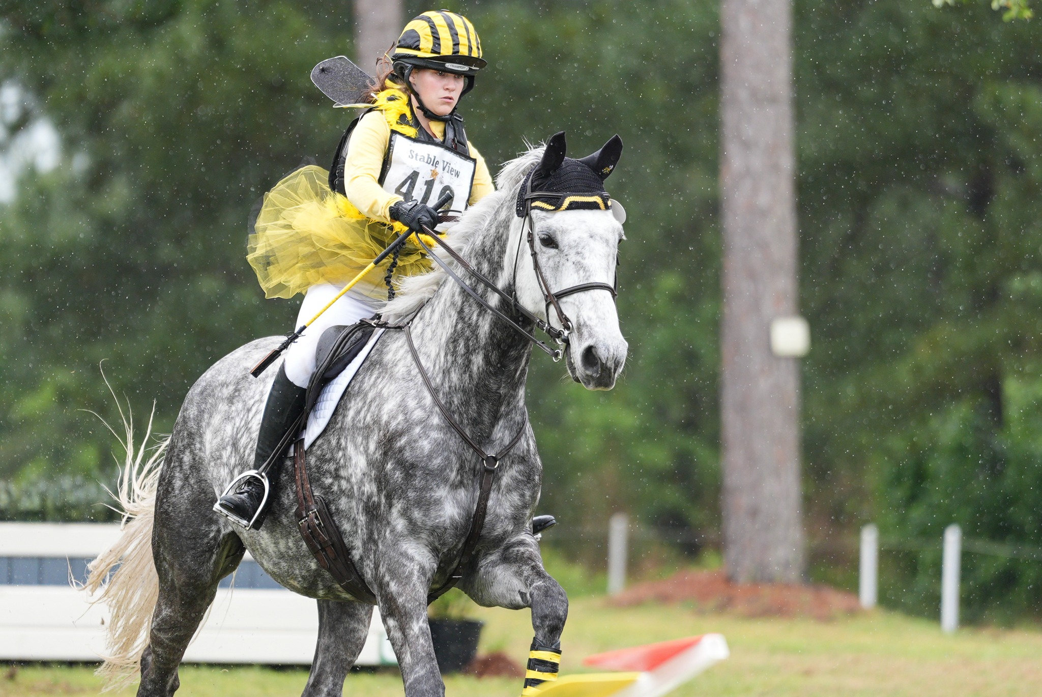 Stable View Plans – Stable View Farm Intercollegiate Interscholastic