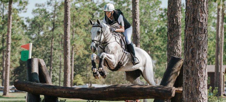 Stable View Equestrian – A Gathering Place