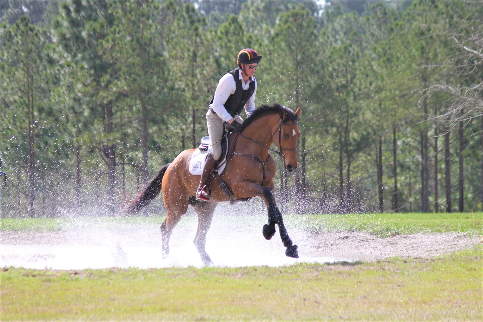 Integrated Training – Stable View Equestrian