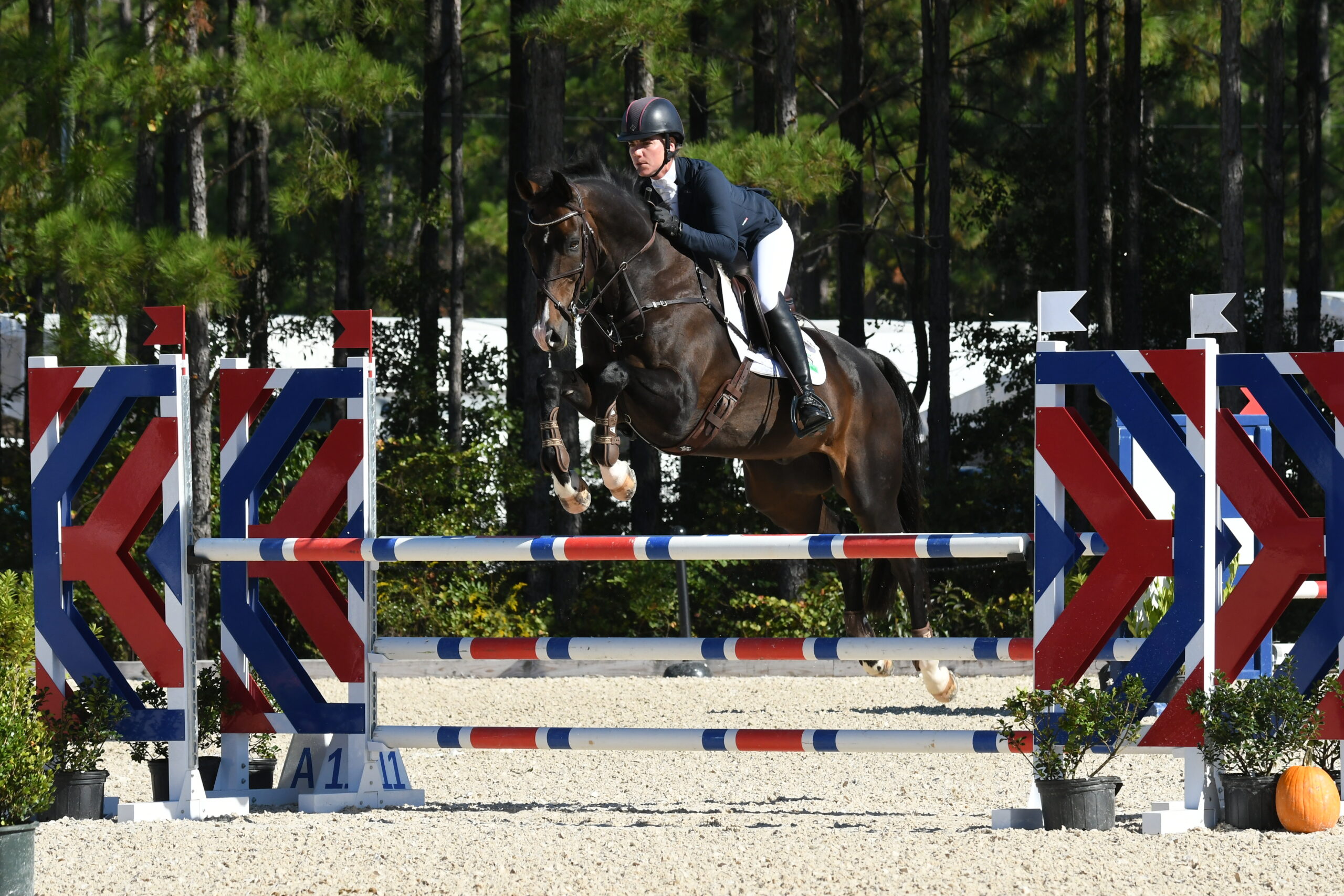 Oktoberfest National Divisions Final Results – Stable View Equestrian