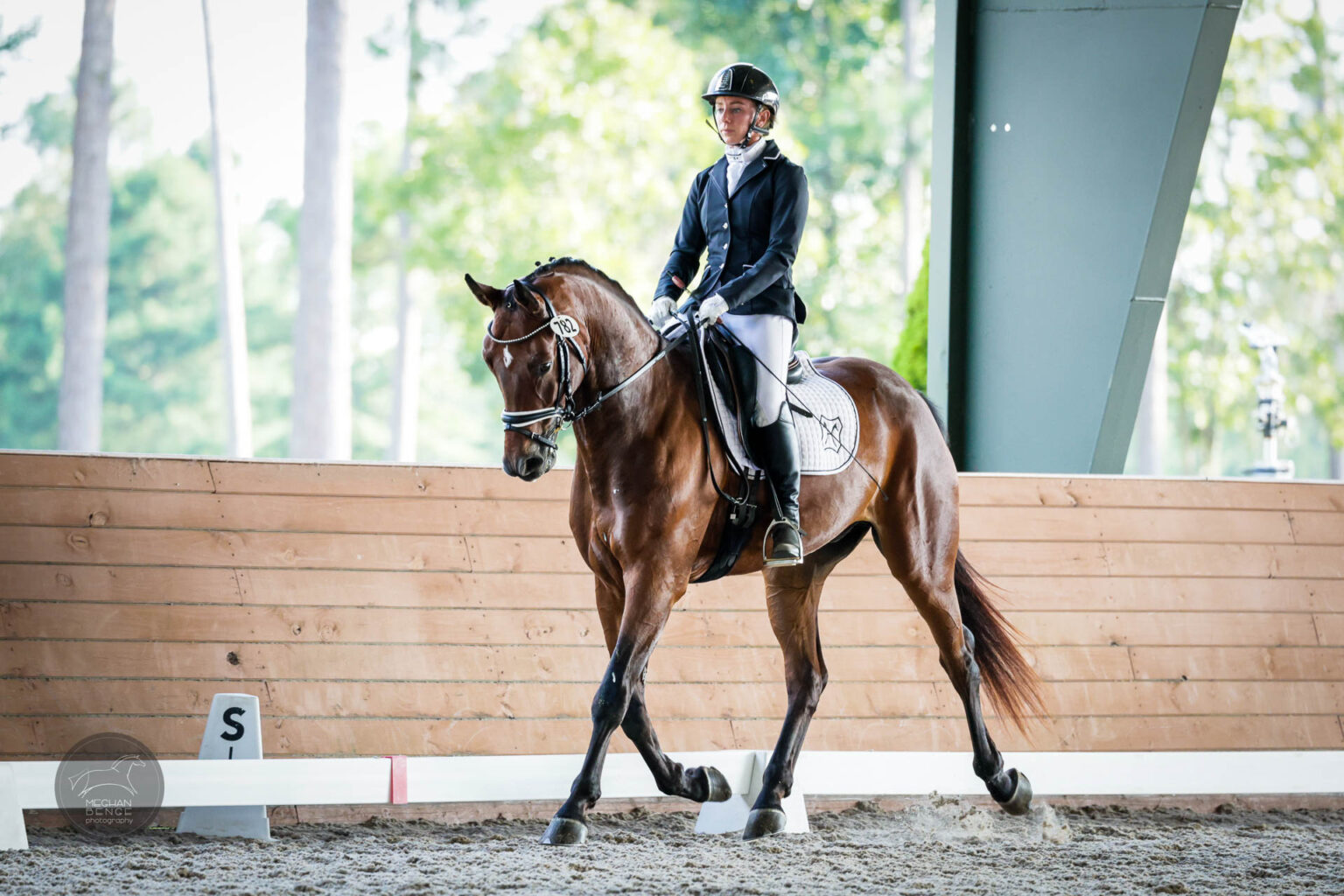 Dressage Collection – Stable View Equestrian