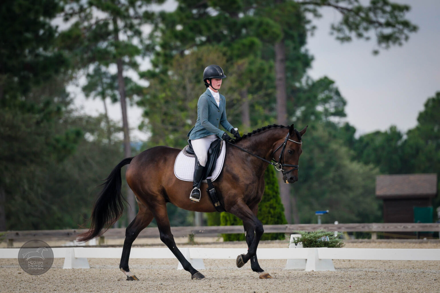Dressage Collection – Stable View Equestrian