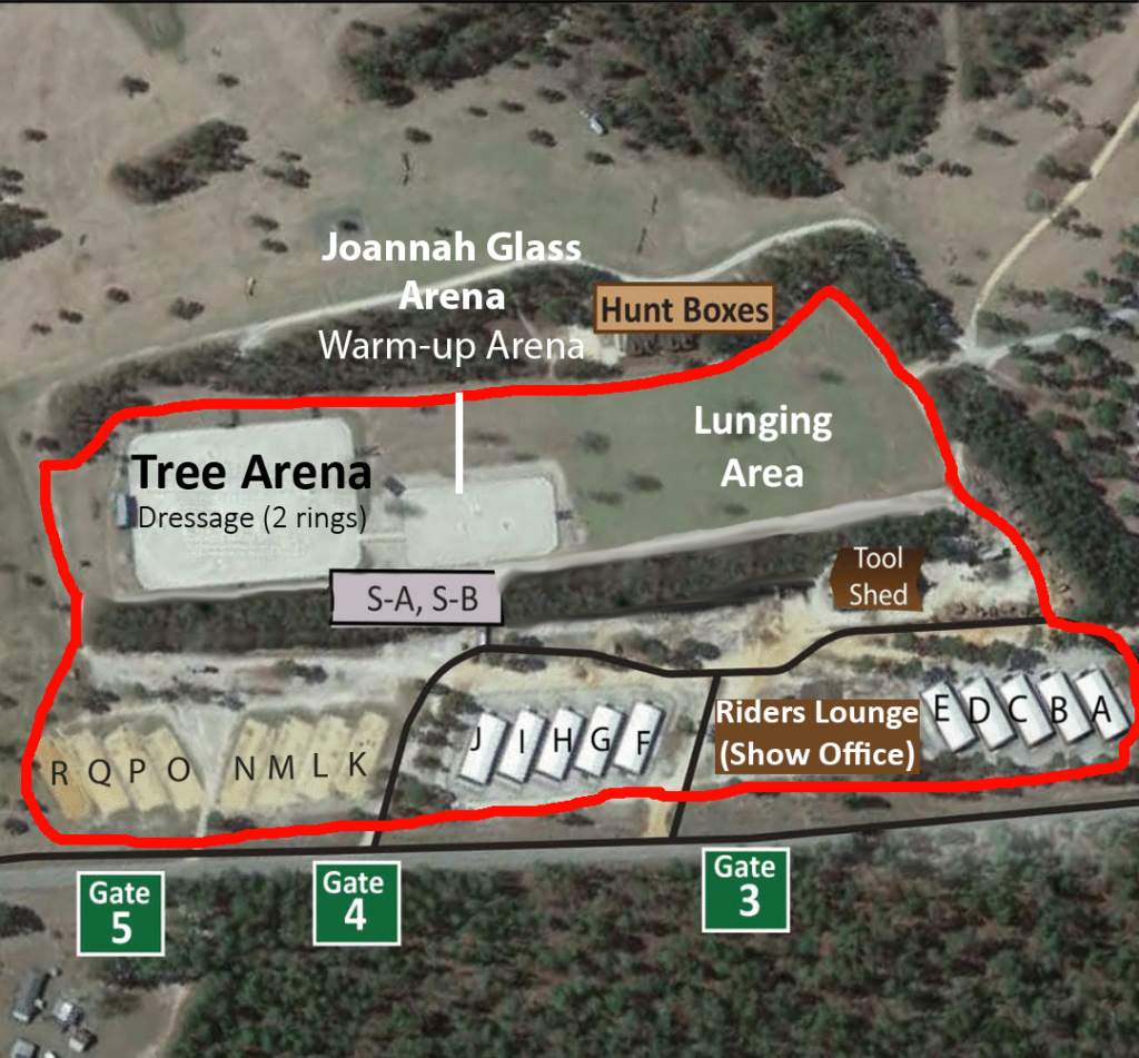 Schooling Dressage Collection – Stable View Equestrian