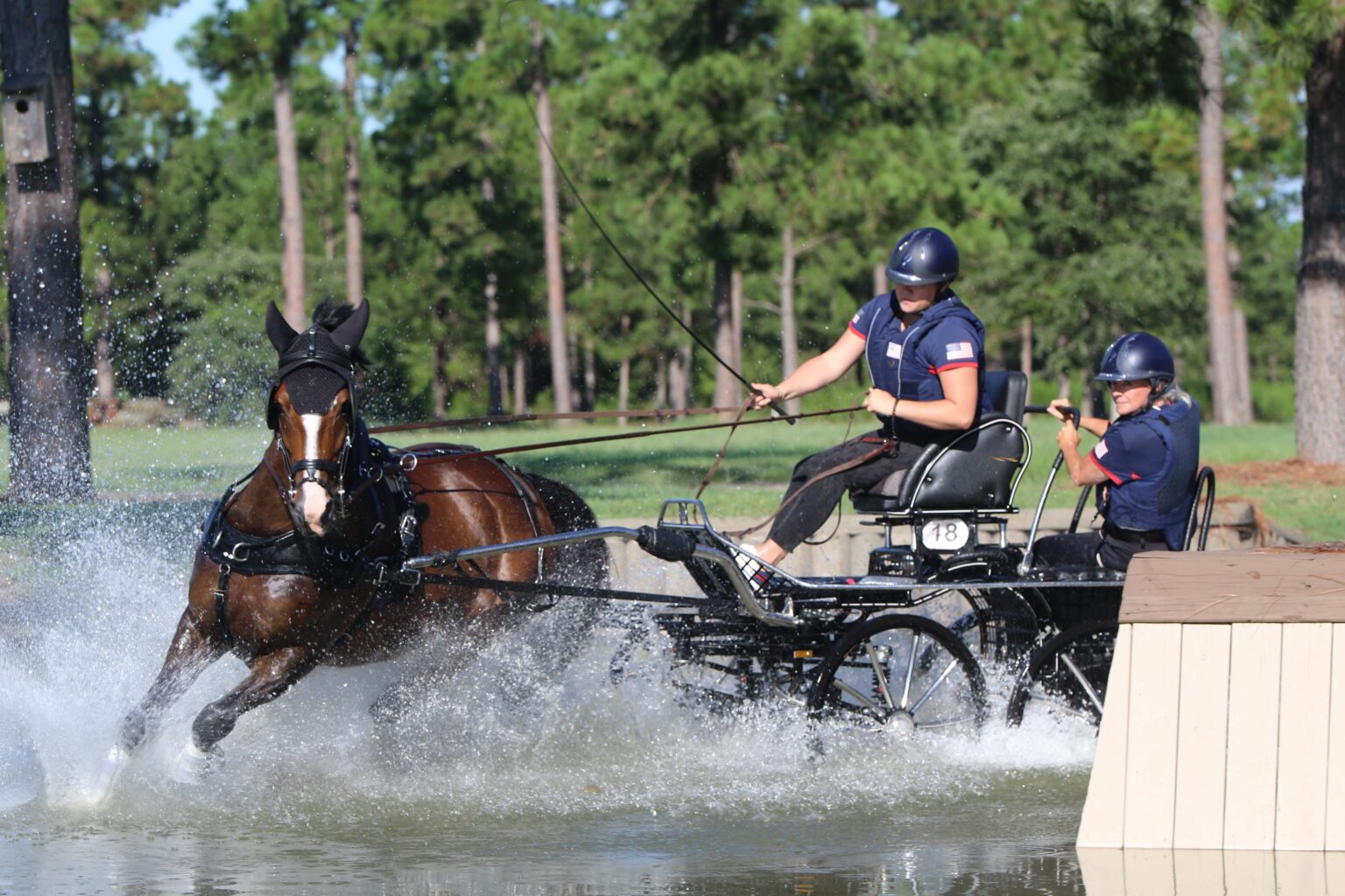 Combined Driving – Stable View Equestrian